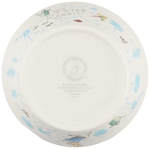 山加商店 Peter Rabbit PR561-358 Bowl, Dish, Approx. 5.1 inches (13 cm), Microwave Safe, Peter, Made in Japan