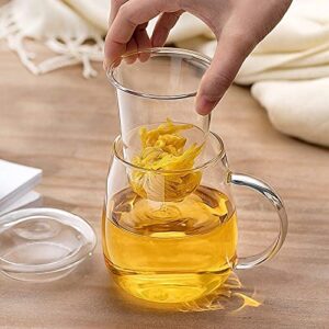 Glass Tea Mug Cup Kits with Tea Infuser Heat Resistant 500 ml Great Gift idea