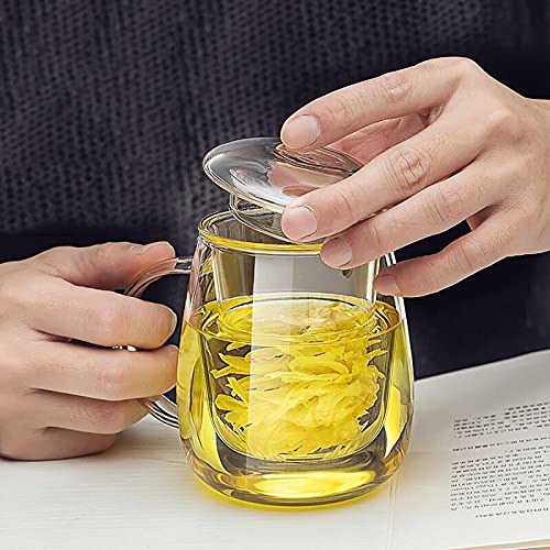 Glass Tea Mug Cup Kits with Tea Infuser Heat Resistant 500 ml Great Gift idea