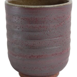 Mino ware Japanese Pottery Yunomi Chawan Tea Cup Matte Wine Red Akagusuri made in Japan (Japan Import) KSY001