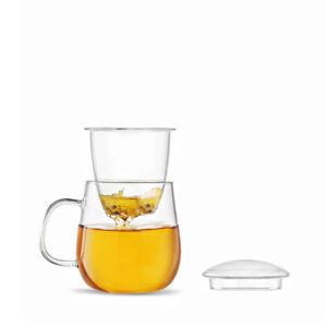 FORVINO Premium Glass Tea Cup with Infuser and Lid - 13.5oz/400ml Borosilicate Mug for Loose Leaf, Blooming Tea, and Bags