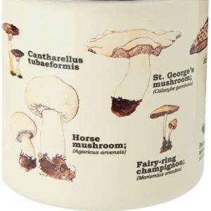 Gift Republic Mushroom Enamel Mug and Socks Set, Off-white