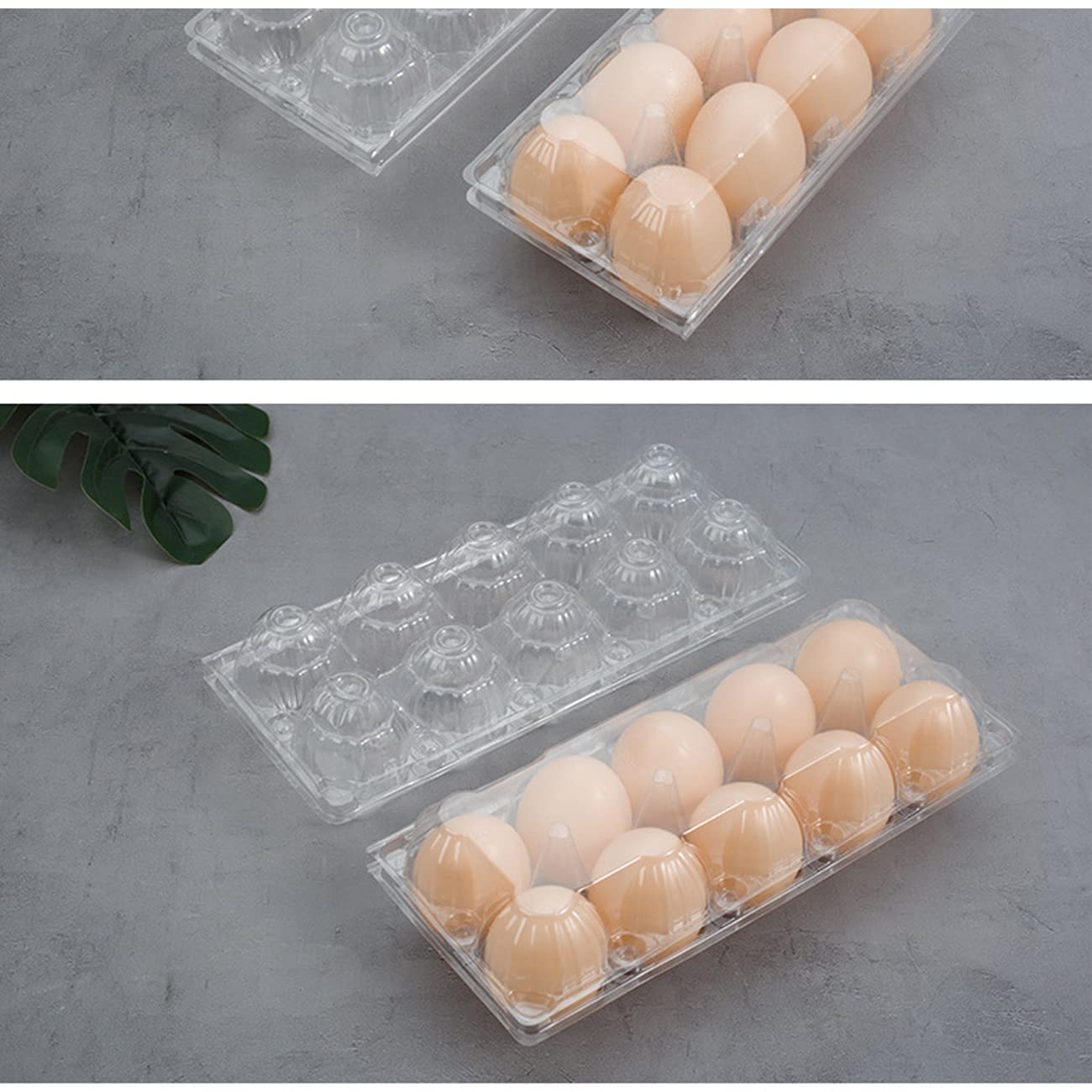 QXBXYHM Plastic Clear Egg Carton for 8 Eggs, 20packs Egg Tray Reusable Medium Size Egg Cartons Perfect, Clear Empty Chicken Egg Tray Egg Holder for Family Pasture Farm Market