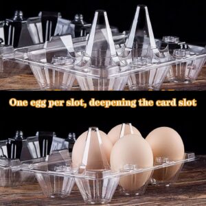 QXBXYHM Plastic Clear Egg Carton for 8 Eggs, 20packs Egg Tray Reusable Medium Size Egg Cartons Perfect, Clear Empty Chicken Egg Tray Egg Holder for Family Pasture Farm Market