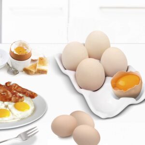 Flexzion Ceramic 6 Cups Egg Tray - Half Dozen Porcelain Egg Holder Container Keeper Storage Organizer Decorative Serving Dish Serveware for Refrigerator Fridge Countertop Display Kitchen (White)