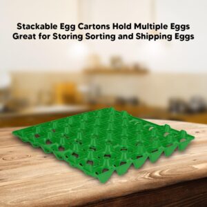 5PCS Plastic Egg Tray Egg Crates 30 Egg Flats for Home Chicken Farmers Stackable Egg Cartons Hold Multiple Eggs Great for Storing Sorting and Shipping Eggs(Green)