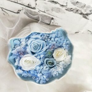 Garneck Shell Bowl Ceramic Seashell Shaped Dish Candy Nuts Fruits Serving Bowl Desktop Jewelry Sundries Tray Multiuse Storage Dish Blue