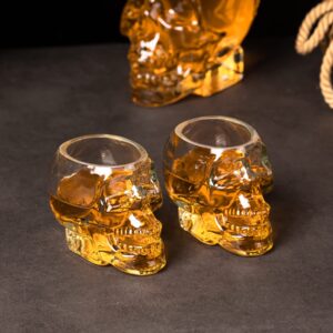 Glass Skull Decanter,750 ML Whiskey Skull Decanter Set with 2 Skull 3 oz Glasses for Halloween Themed Party, Personalized Drinking Cup for Cocktail Wine Vodka As a Skull Gifts