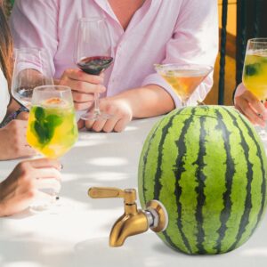 Stainless Steel Watermelon Keg Tap Kit - [Leakproof] [NO Clog] Pumpkin Fruit Keg Tapping with Coring Tool, [Adjust Shank] Watermelon Spigot for Cocktail Party-Ice Tea Drink Dispenser Spout