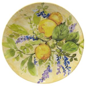 Certified International Lemon Zest 2 pc Melamine Platter Serving Set, Multicolor, Large