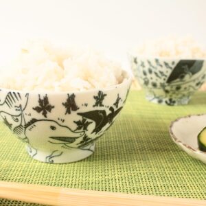 Mino ware Japanese Ceramics Rice Bowl Various Dinosaur Matte Finish made in Japan (Japan Import) GBC002