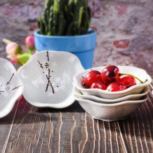 Whitenesser Japanese Style Side/Soy Sauce Dishes Set of 5, Asian Small Plates, Soy Sauce Dish Cream Soup Bowl And Saucer(White)