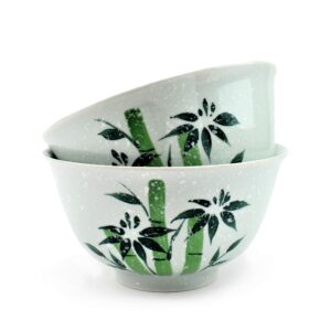 2 Piece Large Japanese Noodle Bowl Set ~ 41 Ounce Porcelain Ramen Noodle Bowls Hand-Painted Green Bamboo for Ramen Noodle Salad Udon Soba Pho Asian Noodles F15746