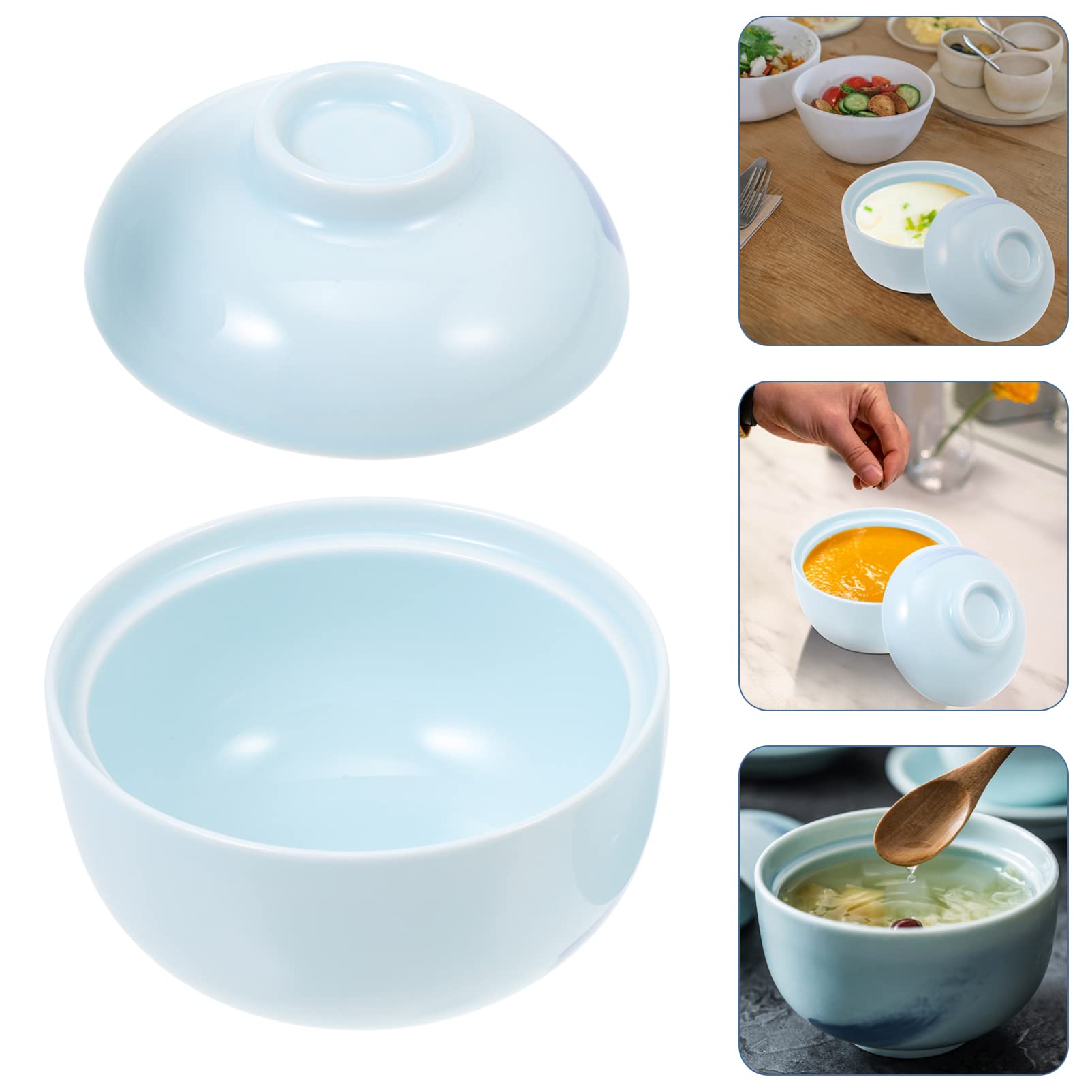 Hemoton 1pc Stew Pot Kitchen Supply Soup Bowl with Lid Noodles Bowl Ceramic Bowl with Lid Stew Cooking Pot Glass Pans Food Mini Clay Pots Glass Saucepan Onion Ceramics French