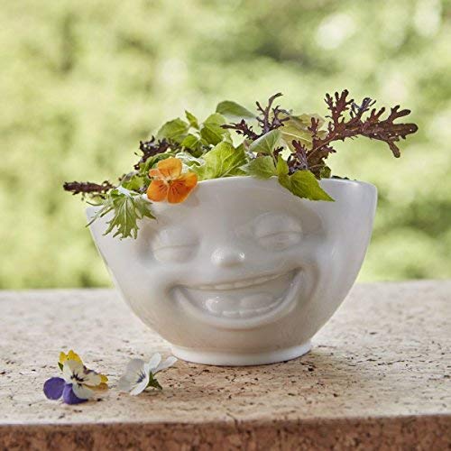 FIFTYEIGHT PRODUCTS TASSEN Porcelain Bowl, Laughing Face Edition, 16 oz. White Outside, Lavender Color Inside (Single Bowl)