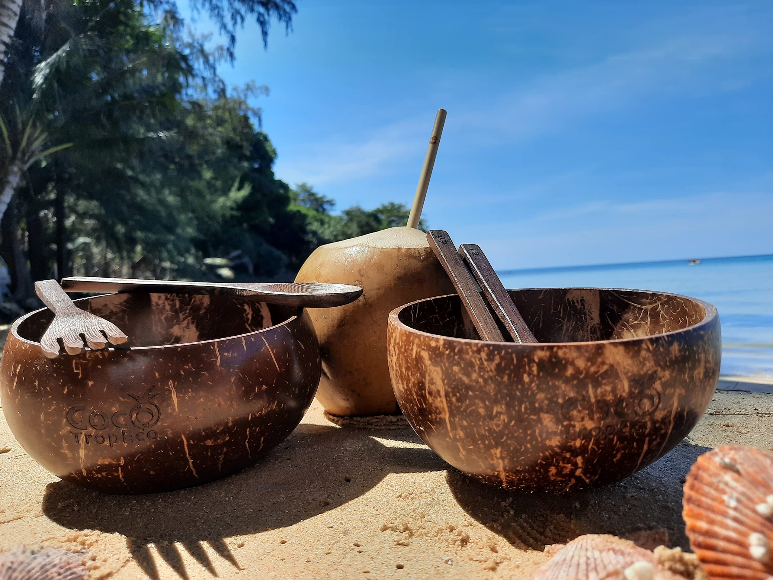 Coco TropEco Coconut Bowl Set of 4 - Handmade Bowls From Natural Coconut Shells + Wooden Spoons + Wood Forks and Bamboo Straws – Buddha Bowls Ideal for Acai Smoothie, Salad or Cereal – Polished –