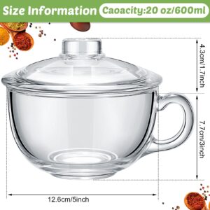 2 Pcs Transparent Ramen Bowl with Lid and Handle, Microwave Safe Glass Mixing Pot For Cooking, Cereal, Breakfast, Noodles Soup Cereals Fruits (600 ml/ 20 oz)