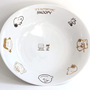 シミズ陶業(Shimizutougyou) Brownpal Snoopy Curry Pasta Plate, Set of 2