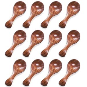 hansgo small wooden spoon, 10pcs 3 inches ice cream salt spoon honey coffee tea sugar salt jam mustard spoons