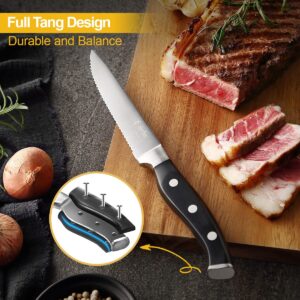 Steak Knives Set of 8, ODERFUN 8 Piece Steak Knives Sharp and Serrated Steak Knife, Full Tang and Ergonomic Handle, 4.5 Inch German Stainless Steel Steak Knife Set with Gift Box