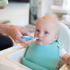 Dr. Brown's Designed to Nourish Soft-Grip Spoon and Fork Set,Blue & White