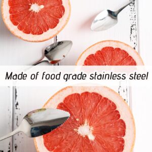 WXJ13 7 PCS Grapefruit Spoons and Grapefruit Knife, Stainless Steel Grapefruit Dessert Spoon Serrated Grapefruit Utensils Tools for Citrus Fruits Kiwi Lemon Desserts Salads