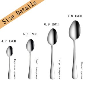 DJ-WARE Small Teaspoons Stainless Steel Tea Spoons Set of 12, 5.5 Inch