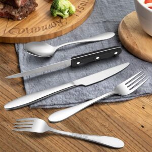 LIANYU 48-Piece Silverware Set for 8 with Steak Knives, Stainless Steel Flatware Cutlery Set, Eating Utensils Tableware Include Forks Knives Spoons, Dishwasher Safe