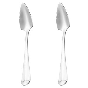 2 pack grapefruit spoon stainless steel fruit spoon with serrated edge long handle with non-stick coating for fruit dessert stirring spoon