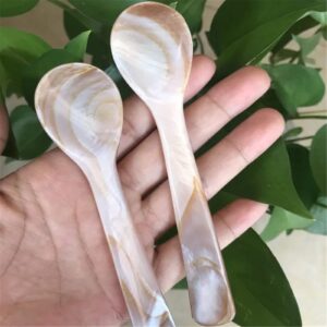 Wenplus 2 Pack 3.55inch Caviar Spoons Handcraft Mother of Pearl MOP Caviar Spoon W Round Handle with One Plastic Storage Box - Coffee Color, Style C