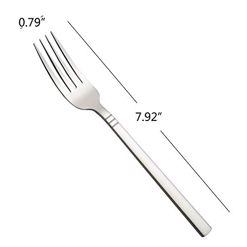 Morcte Stainless Steel Dinner Fork, 12 Pieces Fork