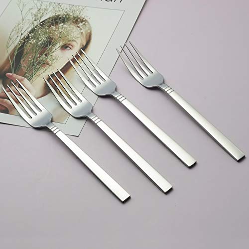 Morcte Stainless Steel Dinner Fork, 12 Pieces Fork