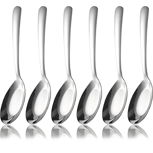 Soup Spoons Stainless Steel Soup Spoons Set of 6 Long Handle Dinner Spoons Silver Asian soup spoon for Ramen Thai Miso (SP01)