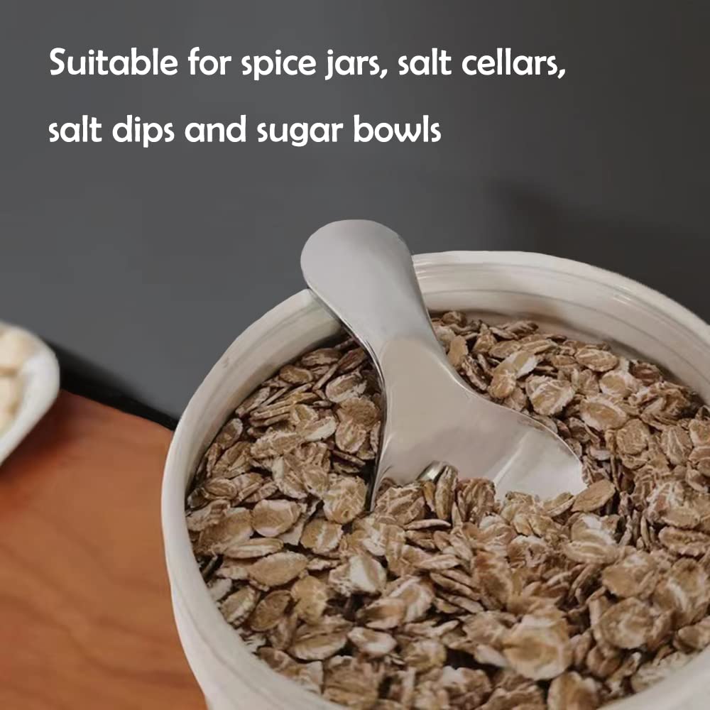 Stainless Steel Mini Spoons Short Handle Salt Spoon Cute Dessert Spoon Sugar Spoon Tea Spoon for Tasting, Seasoning, Coffee, Ice Scream, Cake