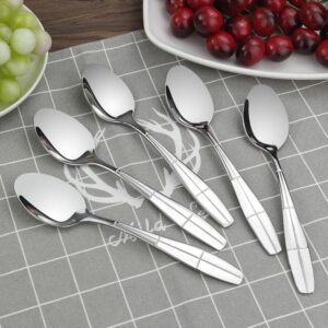 Eagrye Stainless Steel Flatware Dessert Spoons, Set of 12