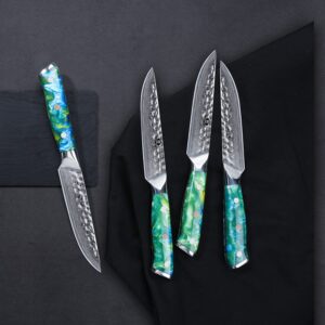 WILDMOK Steak Knives Set of 4 Damascus Steel Steak Knives 5 Inch Ultra Sharp Serrated Steak Knife Set with Resin Handle Kitchen Knives Set with Gift Box