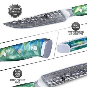 WILDMOK Steak Knives Set of 4 Damascus Steel Steak Knives 5 Inch Ultra Sharp Serrated Steak Knife Set with Resin Handle Kitchen Knives Set with Gift Box