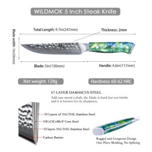 WILDMOK Steak Knives Set of 4 Damascus Steel Steak Knives 5 Inch Ultra Sharp Serrated Steak Knife Set with Resin Handle Kitchen Knives Set with Gift Box