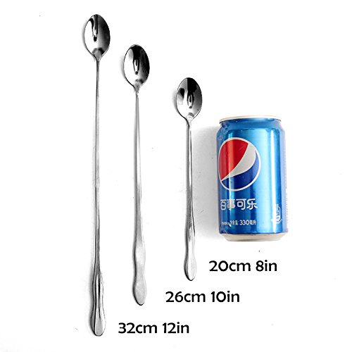 HornTide 6-Piece Mixing Spoon Set 10-Inch 26cm Long Handle Spoons for Ice Cream Cold Drink Fruit Juice Cocktail Stirring and More - Stainless Steel Mirror Polishing