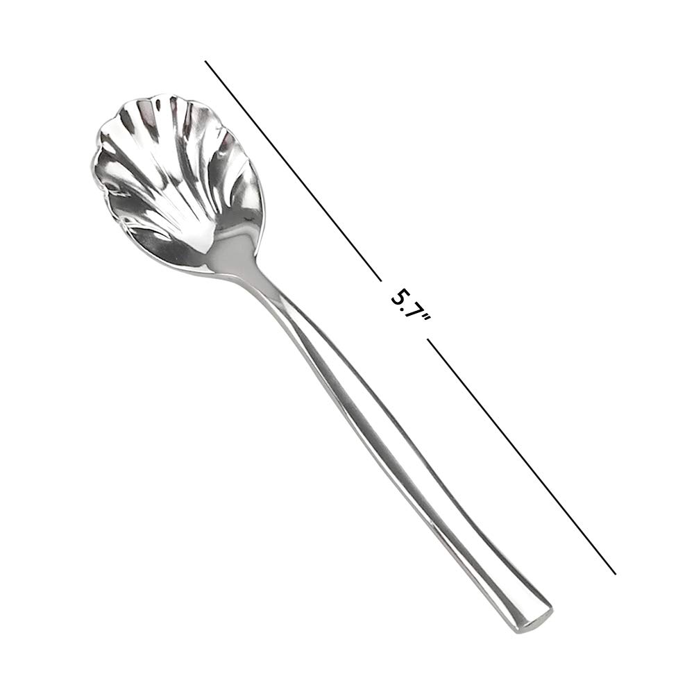 Idomy 12-Piece Stainless Steel Shell Shape Sugar Spoon