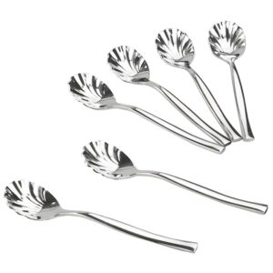 Idomy 12-Piece Stainless Steel Shell Shape Sugar Spoon