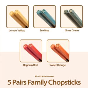 5 Pairs Fiberglass Chopsticks Reusable Dishwasher Safe, Matte Non-Slip Chopstick, Chinese Style Japanese Korean Chop Sticks for Food & Cooking, Chopsticks Gift Set, Multi-Color Rose