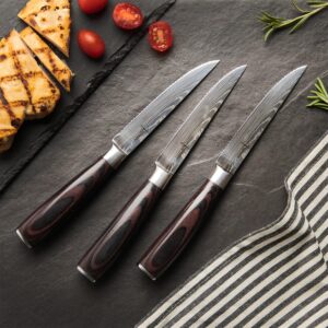 SENKEN Professional Steak Knife Set with Damascus Pattern - Razor Sharp Serrated Stainless Steel & Wood Handle (Steak Knives Set of 6)