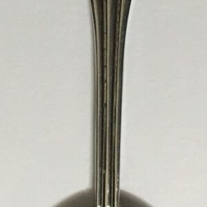 Country 'INDIA' Souvenir Spoon