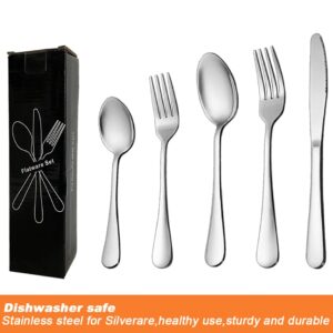 CIYOUTTO Silverware Set Flatware set ,20-Piece Service for 4,Kitchen Eating Utensils Set Stainless Steel Tableware Cutlery, Includes Dinner Knife/Fork/Spoon/Teaspoon/Salad Fork (Silver)