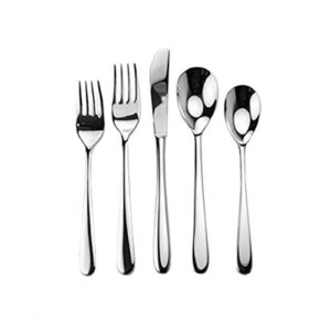 splendide dublin 45-piece flatware set