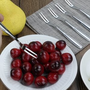 Pekky Stainless Steel Fruit Forks Mini Cake Forks, 12 Pieces