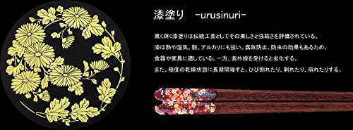 Isso chopsticks paint chopsticks HimeSakura 20.5cm