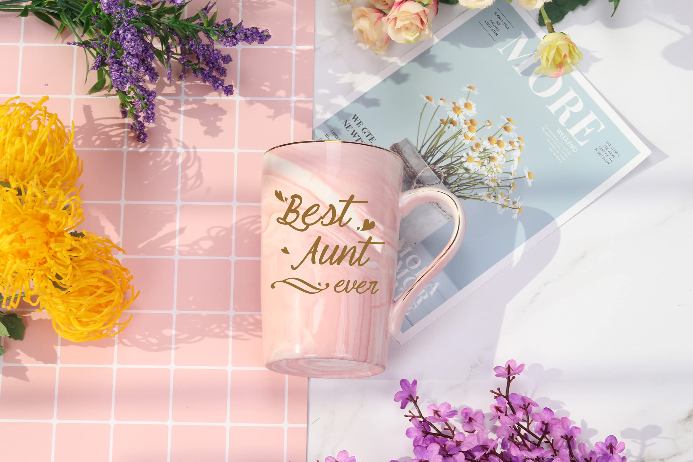 Best Aunt Ever Mug Best Aunt Ever Coffee Mug Best Aunt Ever Gifts Best Aunt Ever Cup Aunt Coffee Mug Birthday Mothers Day Gifts for Aunt from Nephew Niece 14 Ounce Pink with Gift Box Spoon Coaster