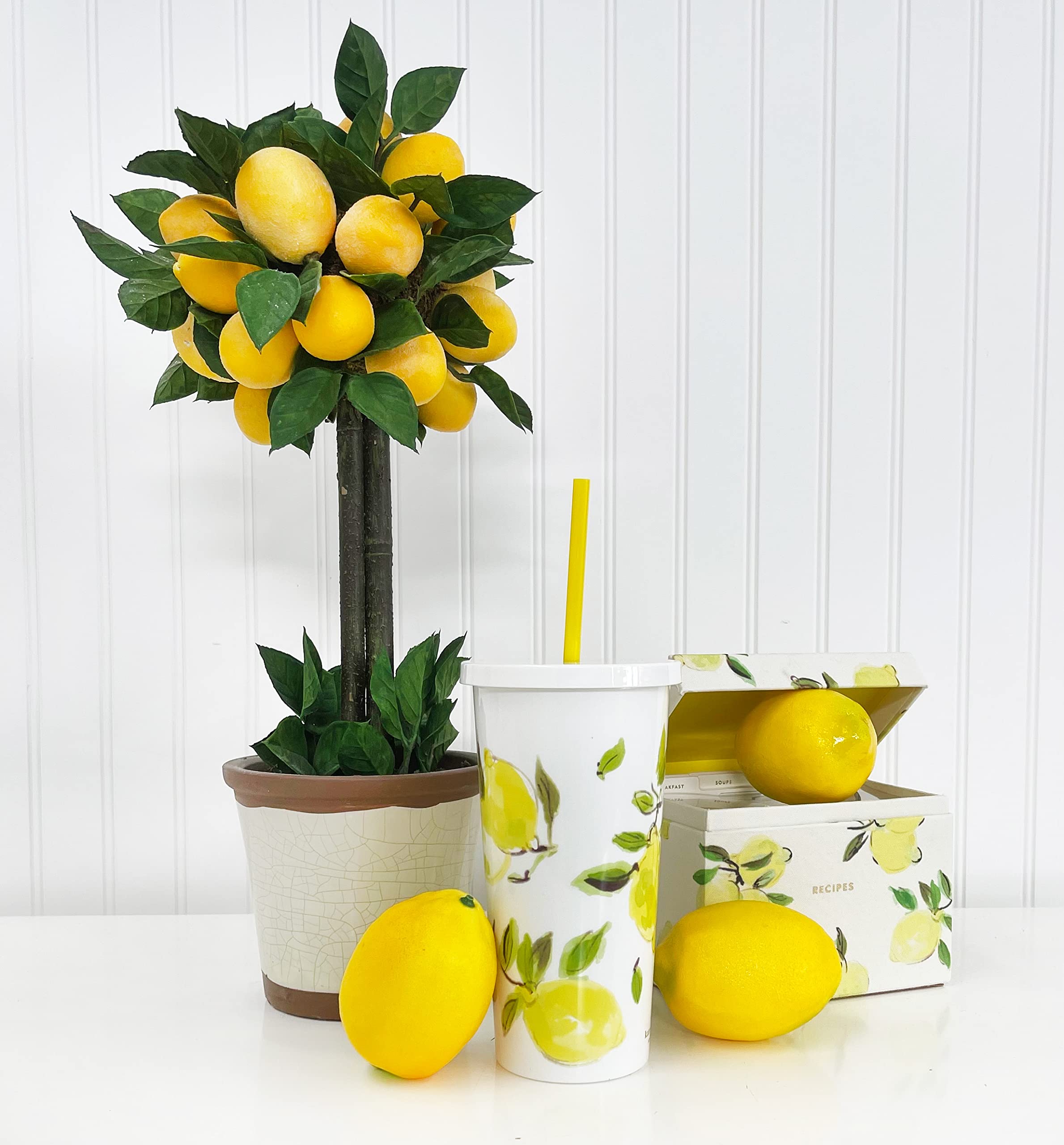 Kate Spade New York Insulated Tumbler with Reusable Straw, 20 Ounce Travel Cup with Lid, Lemons